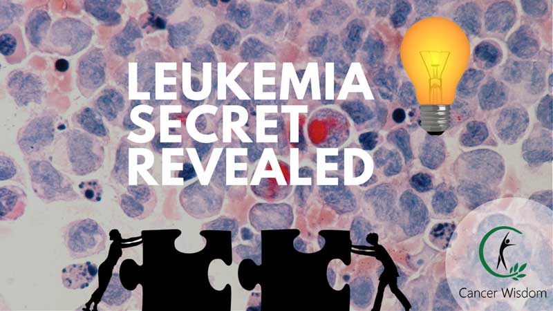 5 Facts Everyone Should Know About Leukemia Cancer - Cancer Wisdom