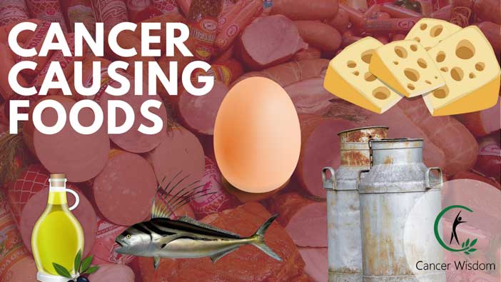 Cancer Causing Foods You Shouldn’t Put In Your Mouth - Cancer Wisdom